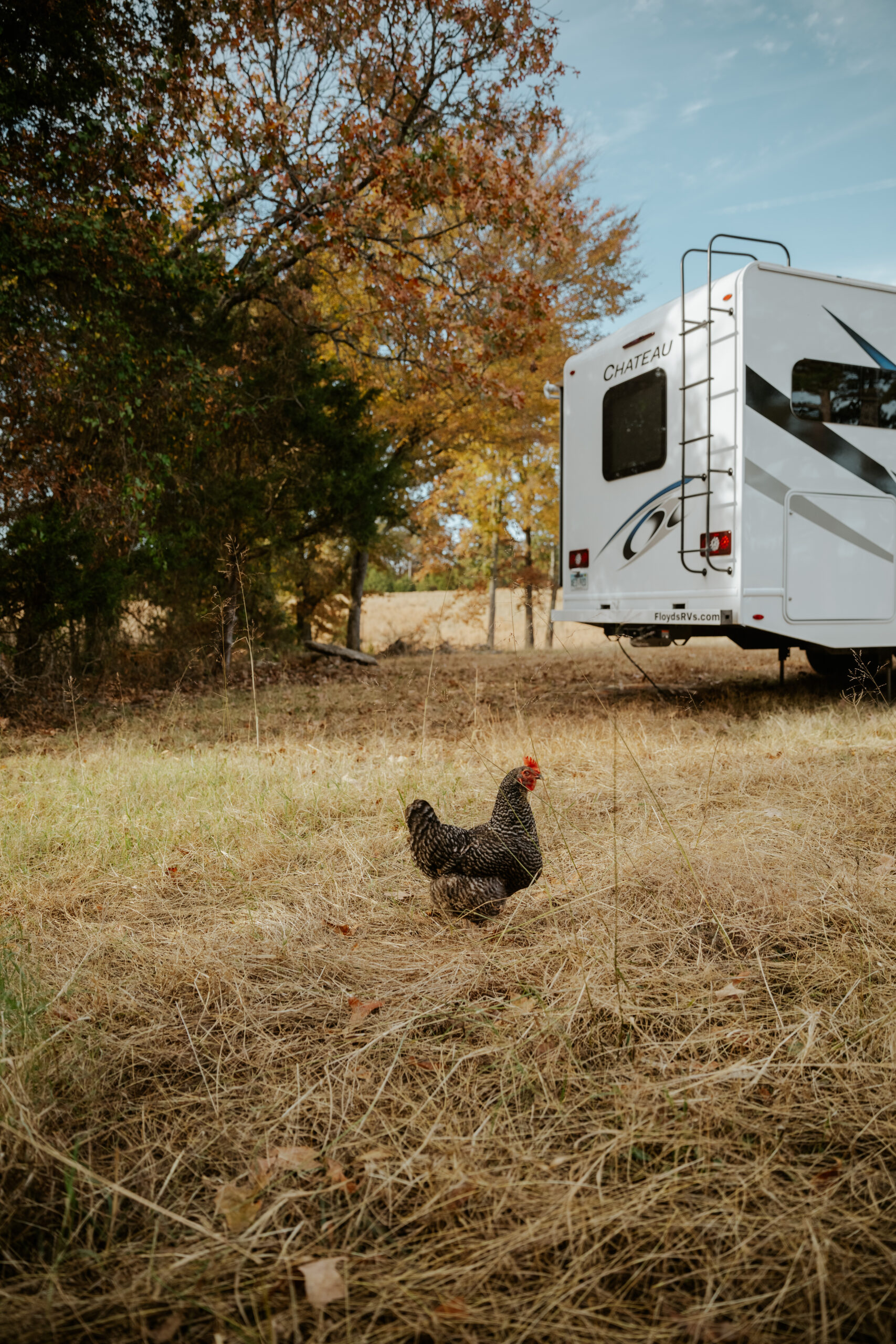 Boondocking 101: The Secrets to Success | RVshare