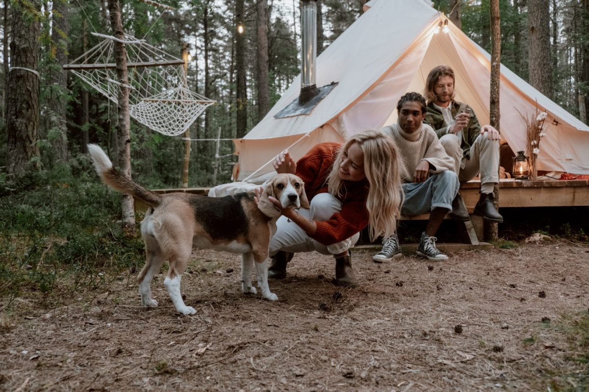Are You a Camper or a Glamper? These 7 Differences Will Help You Decide ...