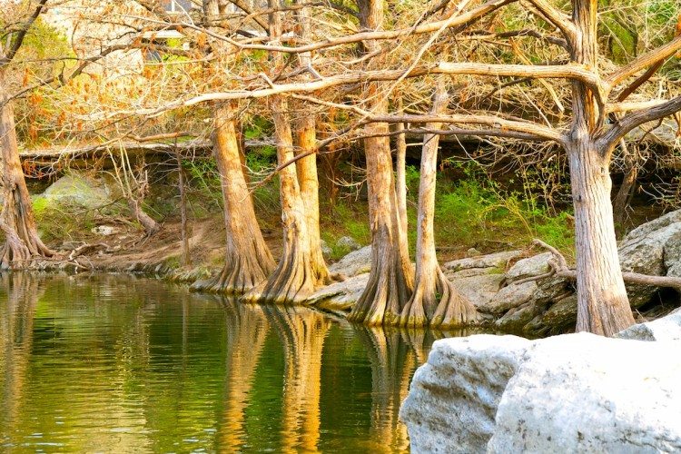 The 10 Best State Parks Near Austin, Texas! | RVshare