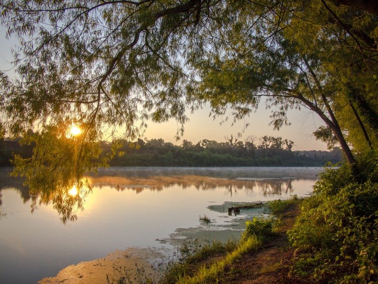 The 10 Best State Parks Near Austin, Texas! | RVshare