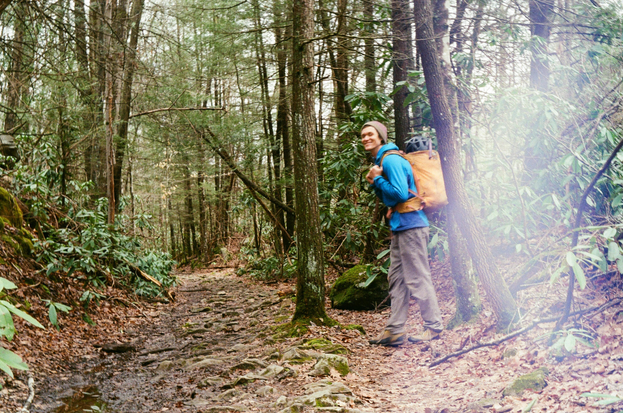 Into the Wild: Arizona's Most Breathtaking National Forests | RVshare