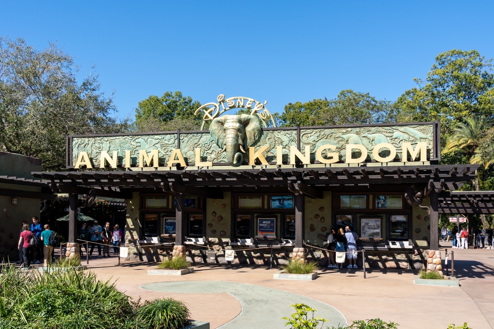 5 Wild Destinations for Animal Lovers of All Stripes | RVshare