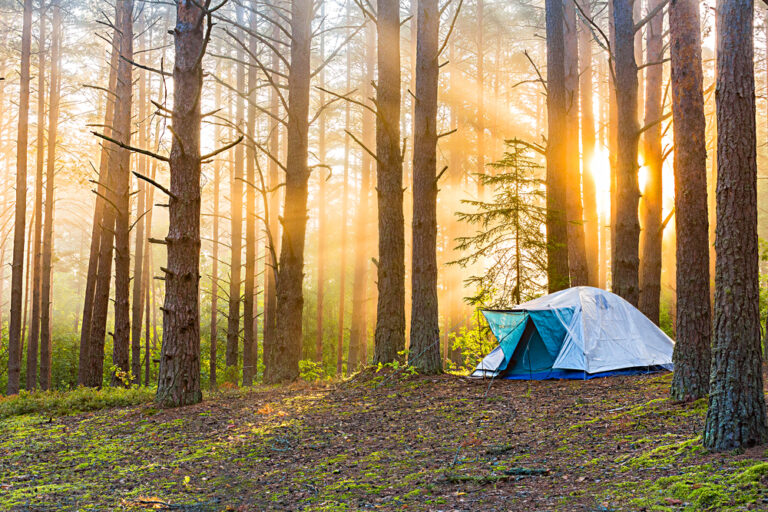 Handy Items for Camping Off the Grid | RVshare