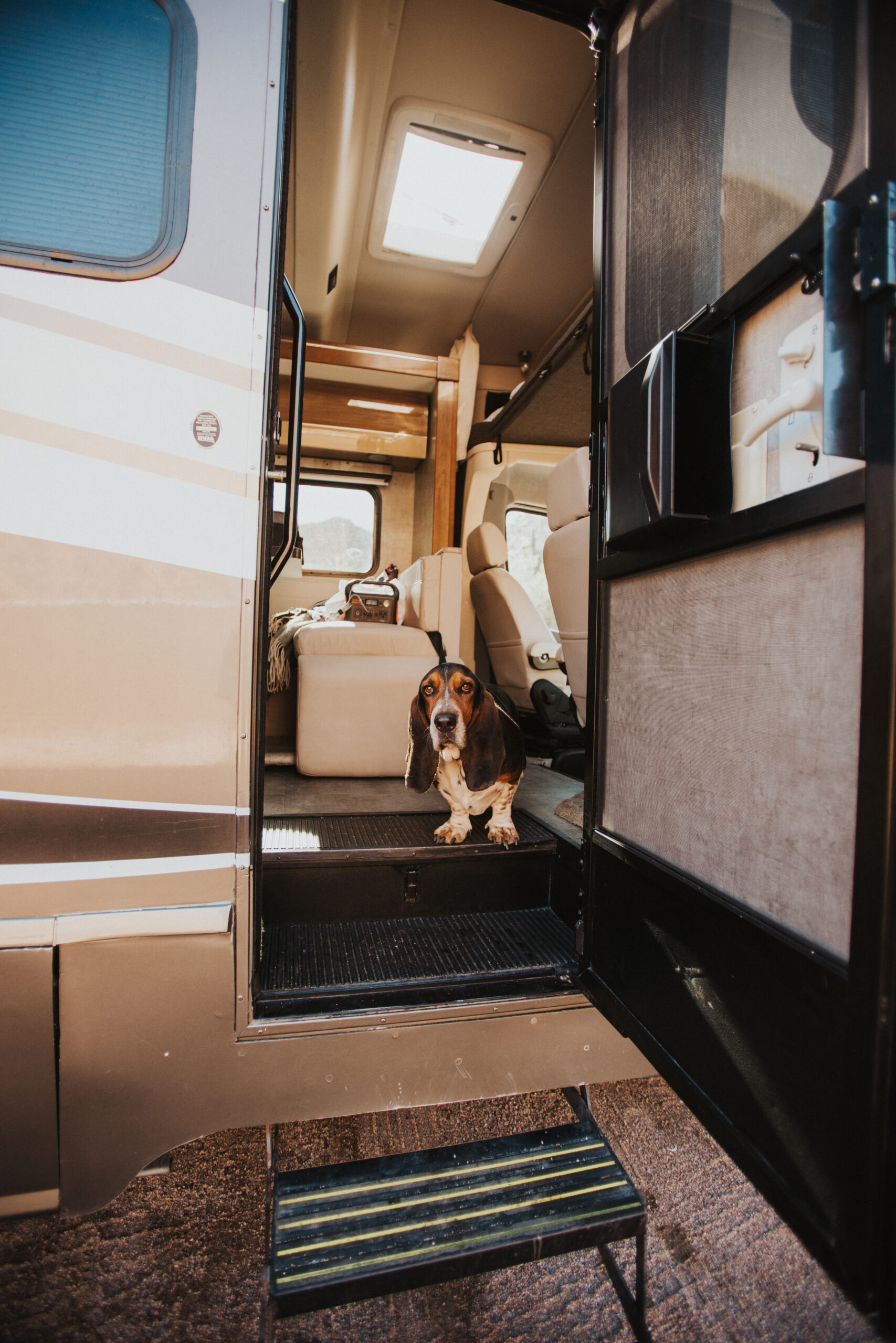 How to Optimize Storage in an RV - The Ultimate Guide to RV Storage