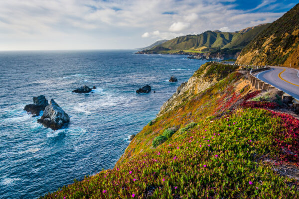 The Ultimate Guide to the Highway 1 Road Trip