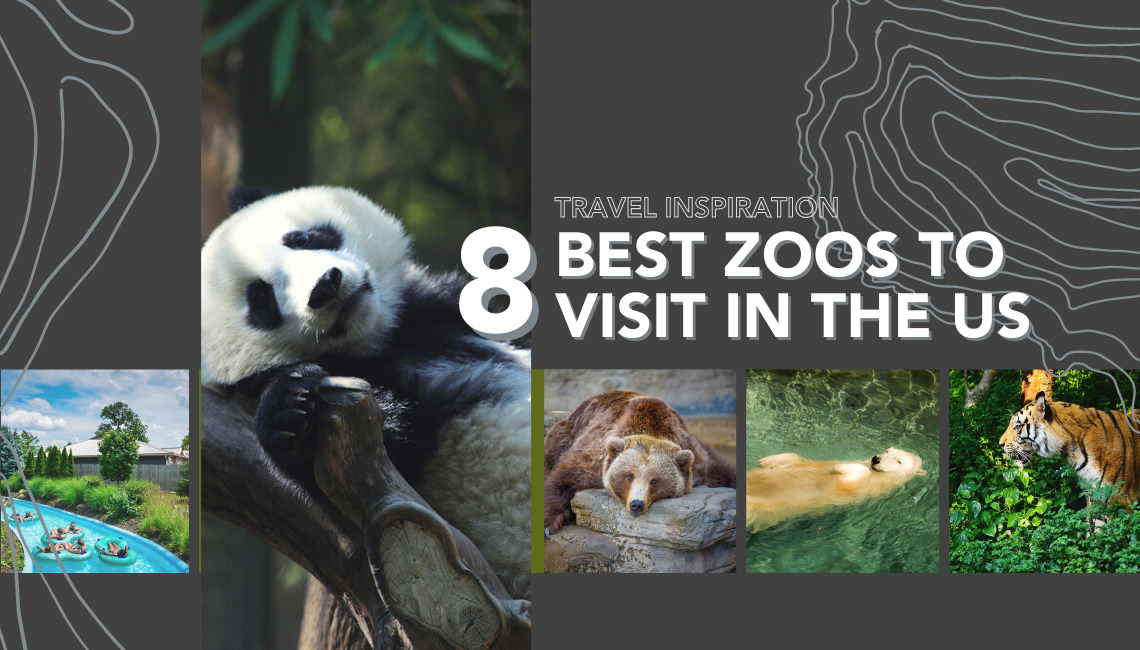 The 8 Best Zoos to Visit in the U.S!