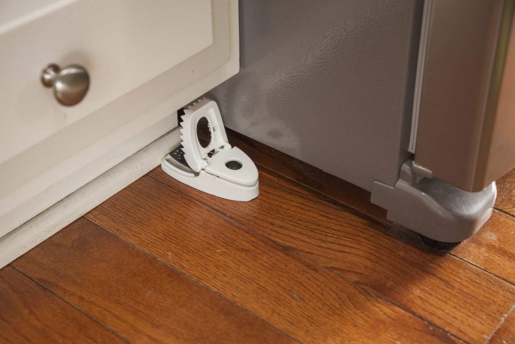 How to Keep Mice Out of Your RV: The Ultimate Guide