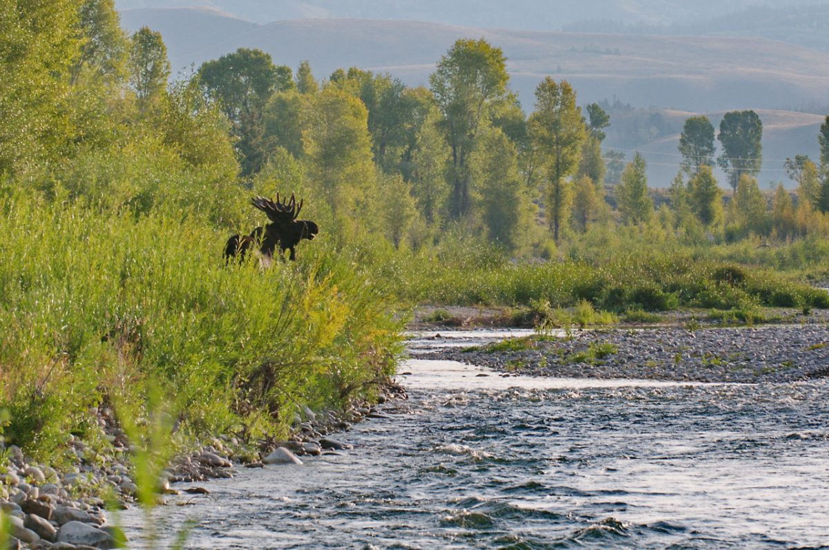 Favorite Campgrounds from Campendium's Campers' Choice Awards