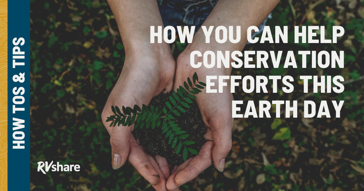 How You Can Help Conservation Efforts This Earth Day