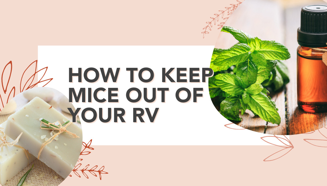 How to Keep Mice Out of Your RV: The Ultimate Guide