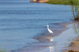 Top 10 Beaches in Mississippi | RVshare