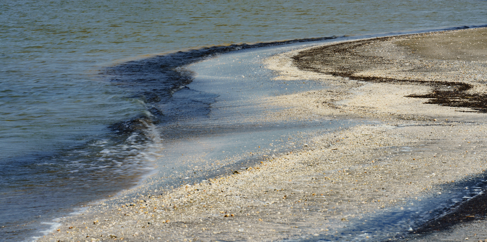 Top 10 Beaches in Louisiana | RVshare