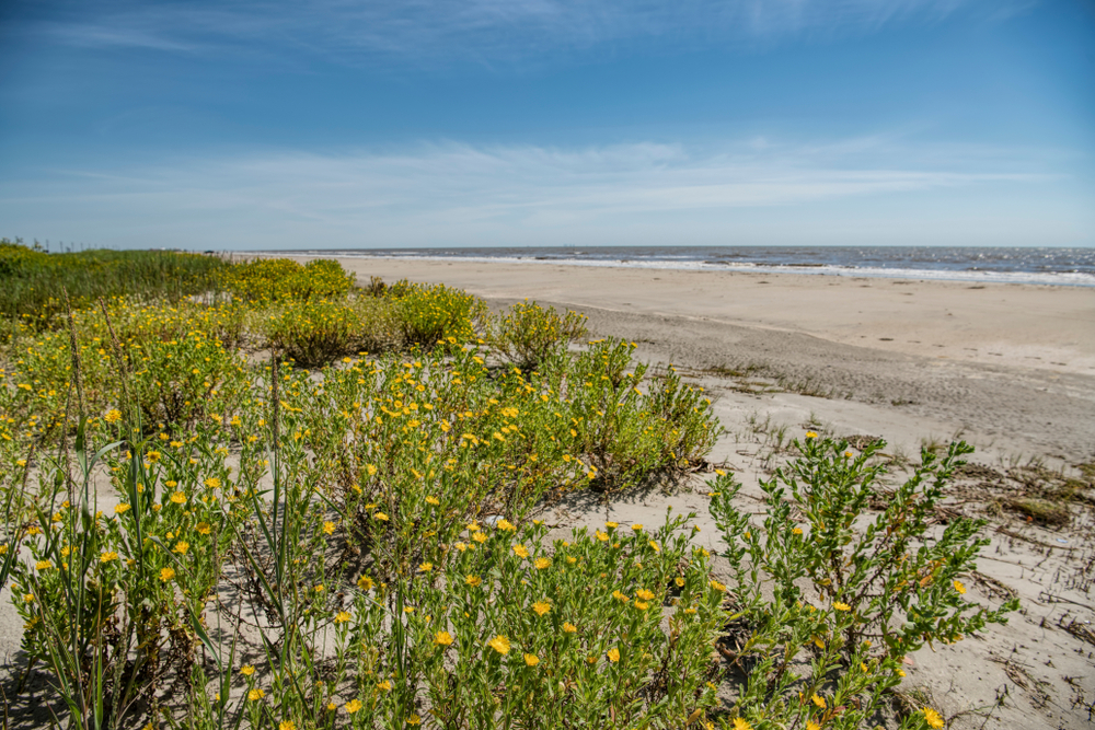 Top 10 Beaches in Louisiana | RVshare