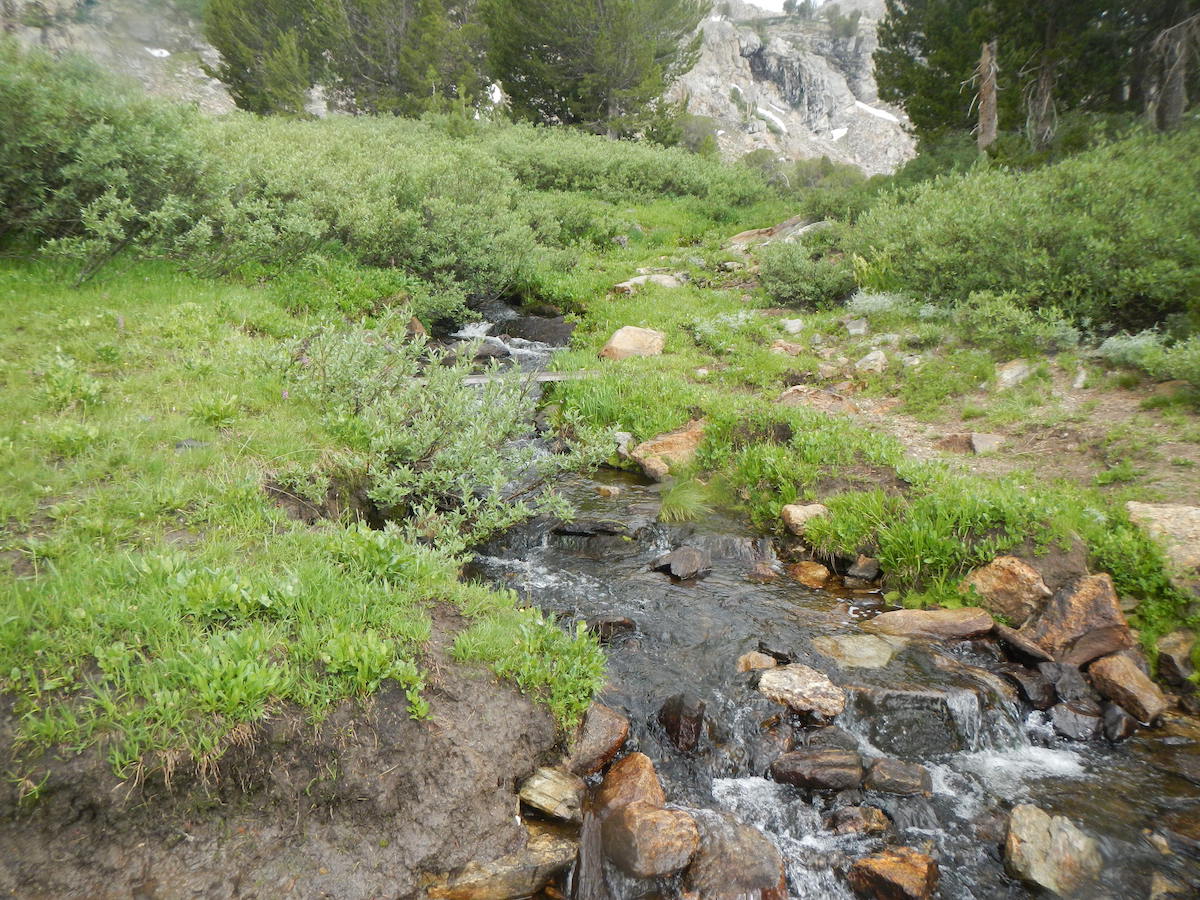 Top 9 Waterfalls in Nevada | RVshare