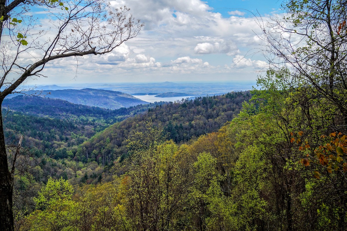 7 Beautiful National Forests that Are Nearby Your Favorite National ...