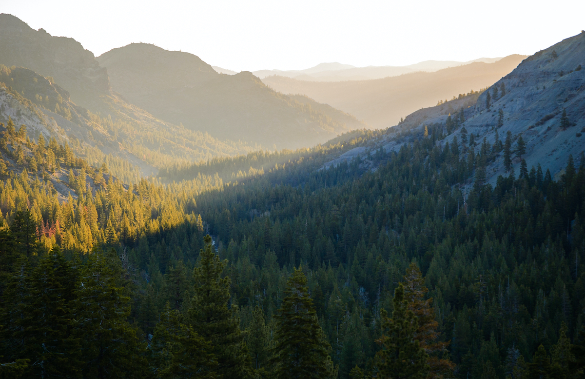 7 Beautiful National Forests that Are Nearby Your Favorite National ...