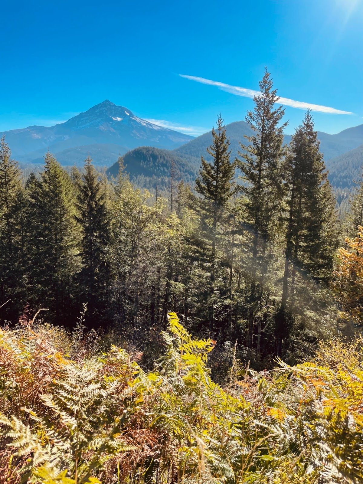 Fall in the Pacific Northwest with Wander Free and Queer | RVshare