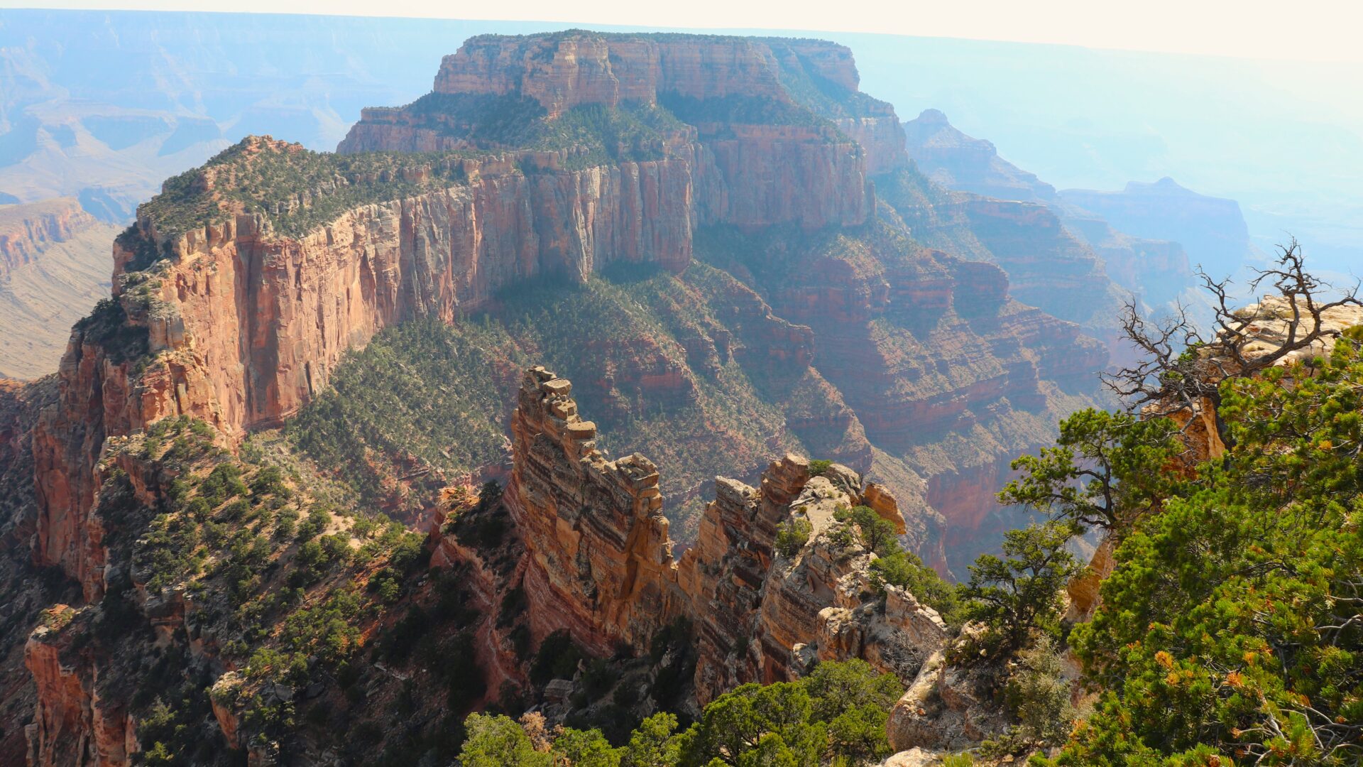 The Top 7 Scenic Byways in Arizona | RVshare