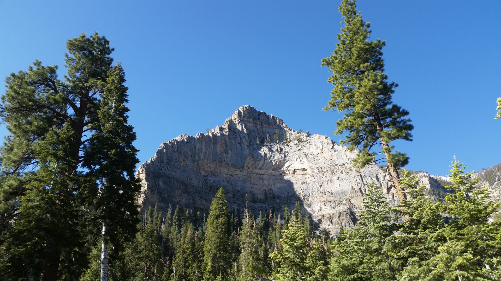 Mount Charleston: RV Camping, Hiking and More near Las Vegas | RVshare
