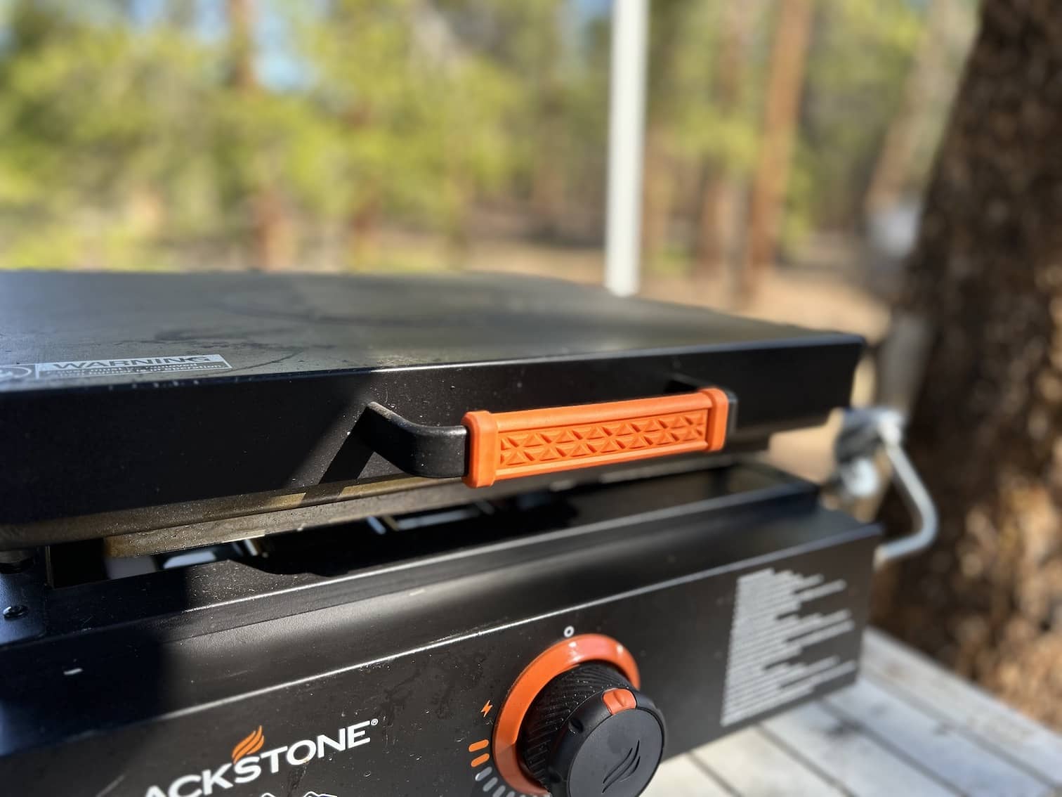 Blackstone Hacks and Recipes for RVers | RVshare